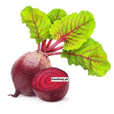 SEED BEEJ Garden Center buy Seeds, Plants, Tools, Pesticides