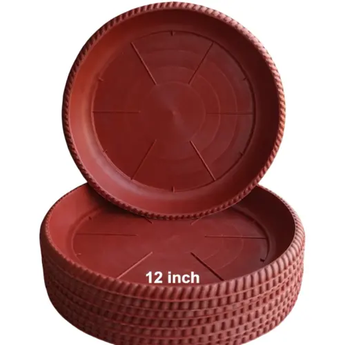 Buy Plastic Pot Tray 12 Inch mix color in Pakistan - Seed Beej 2026